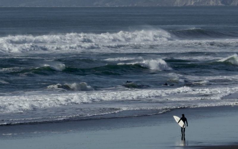 LA MIRADA DEL SURF CALIFORNIANO