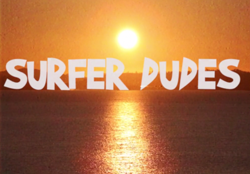SURFER DUDES