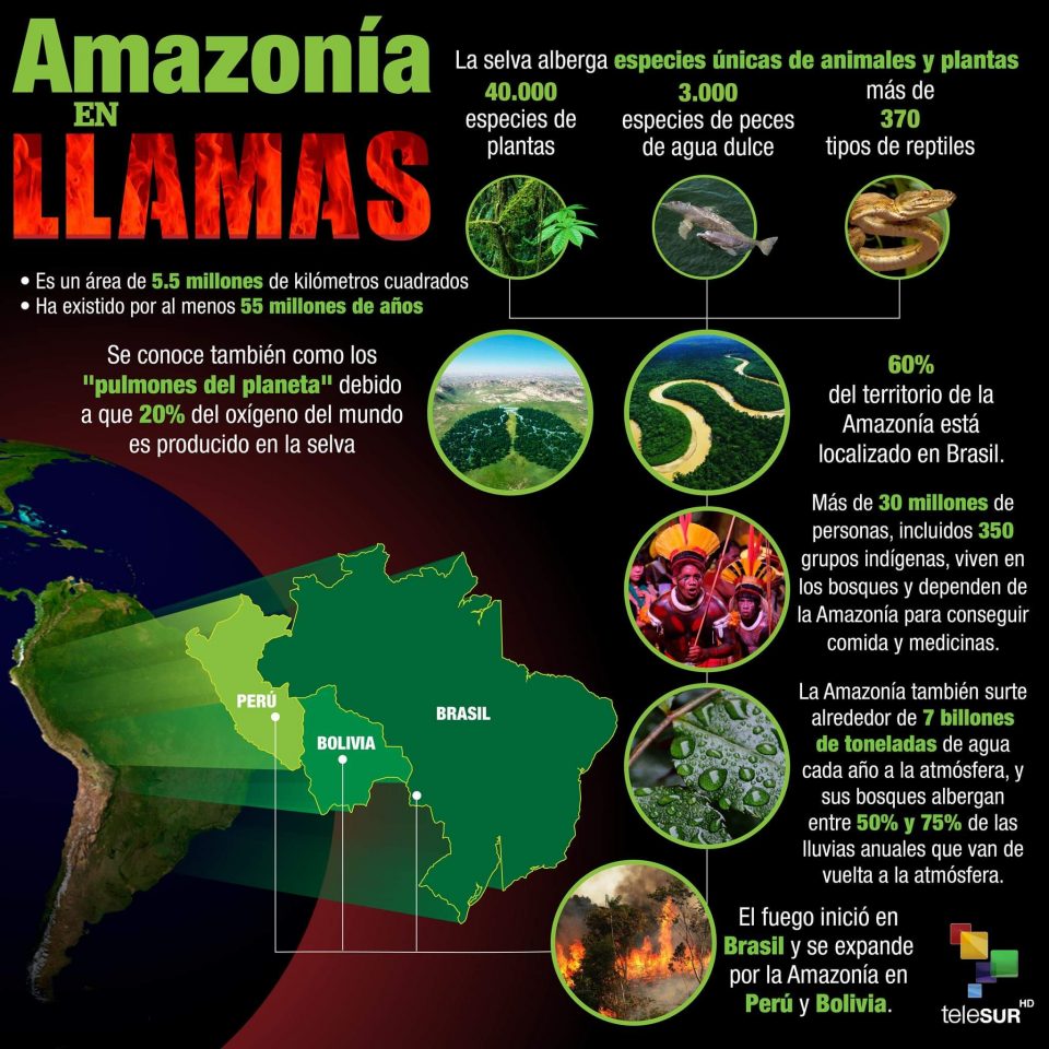 El Amazonas se quema, 9.500 focos arrasan la selva amazónica - SURFER RULE