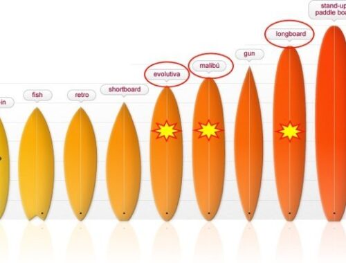 Olas y Tablas la relación para un buen surfing - SURFER RULE